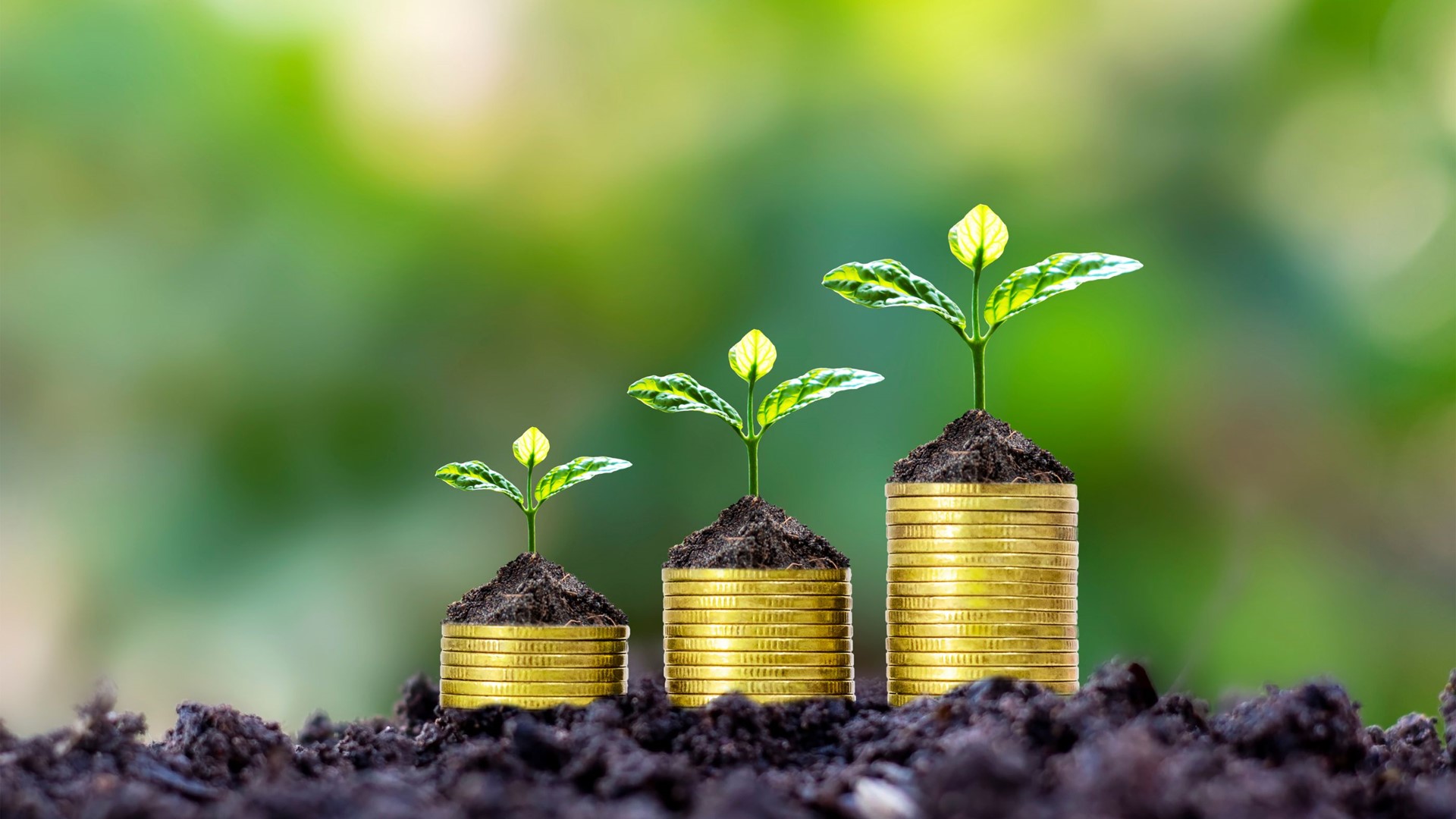 Green Economy | A guide to green financing options for businesses