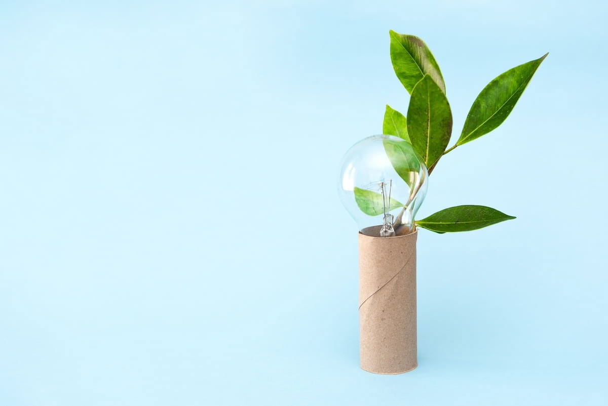 Green Economy | Understanding the UK Government’s mandatory net zero ...