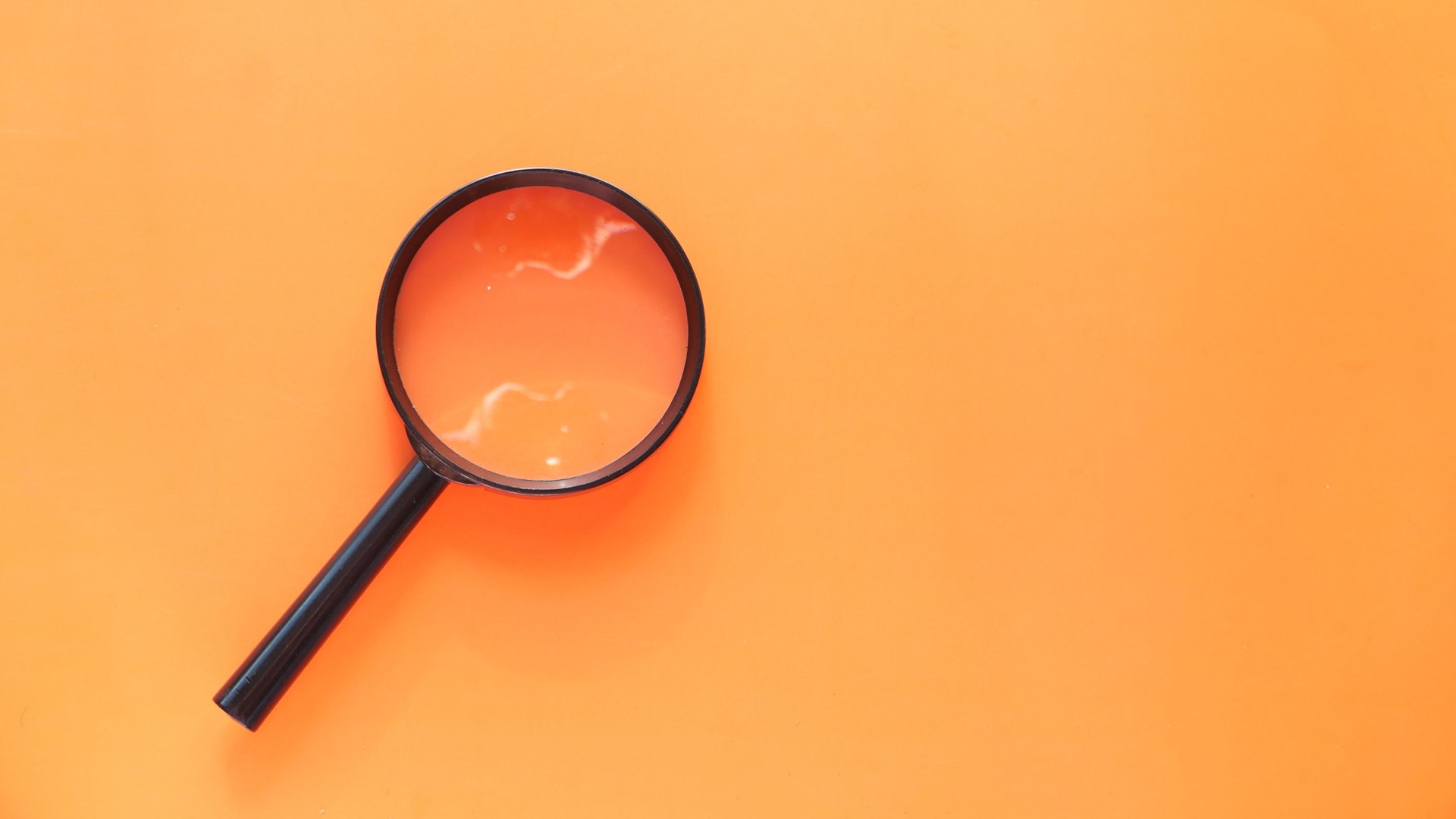 Green Economy | A guide to green financing options for businesses